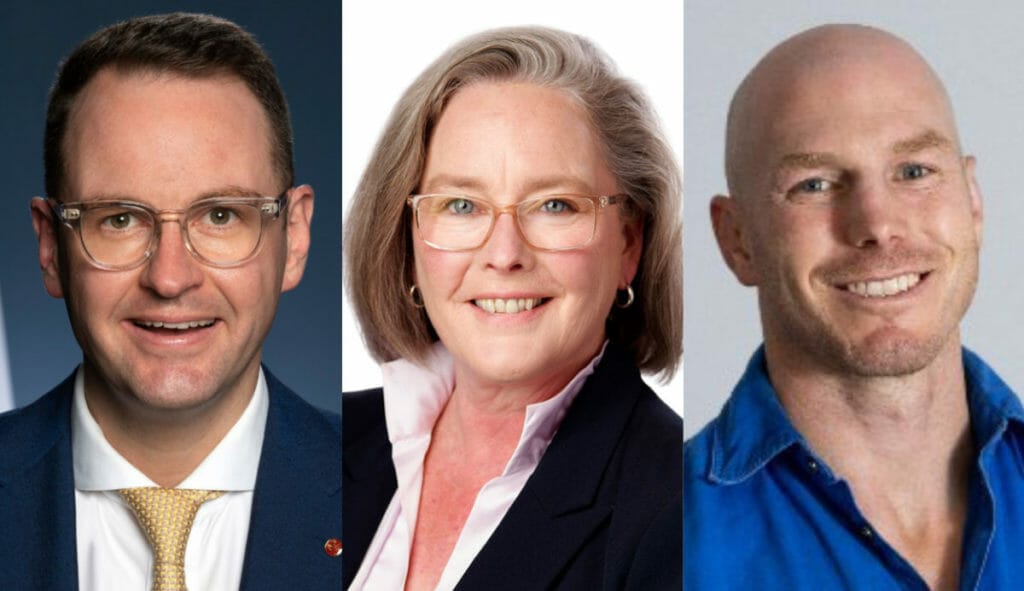 Net zero finds some new political friends - Professional Planner